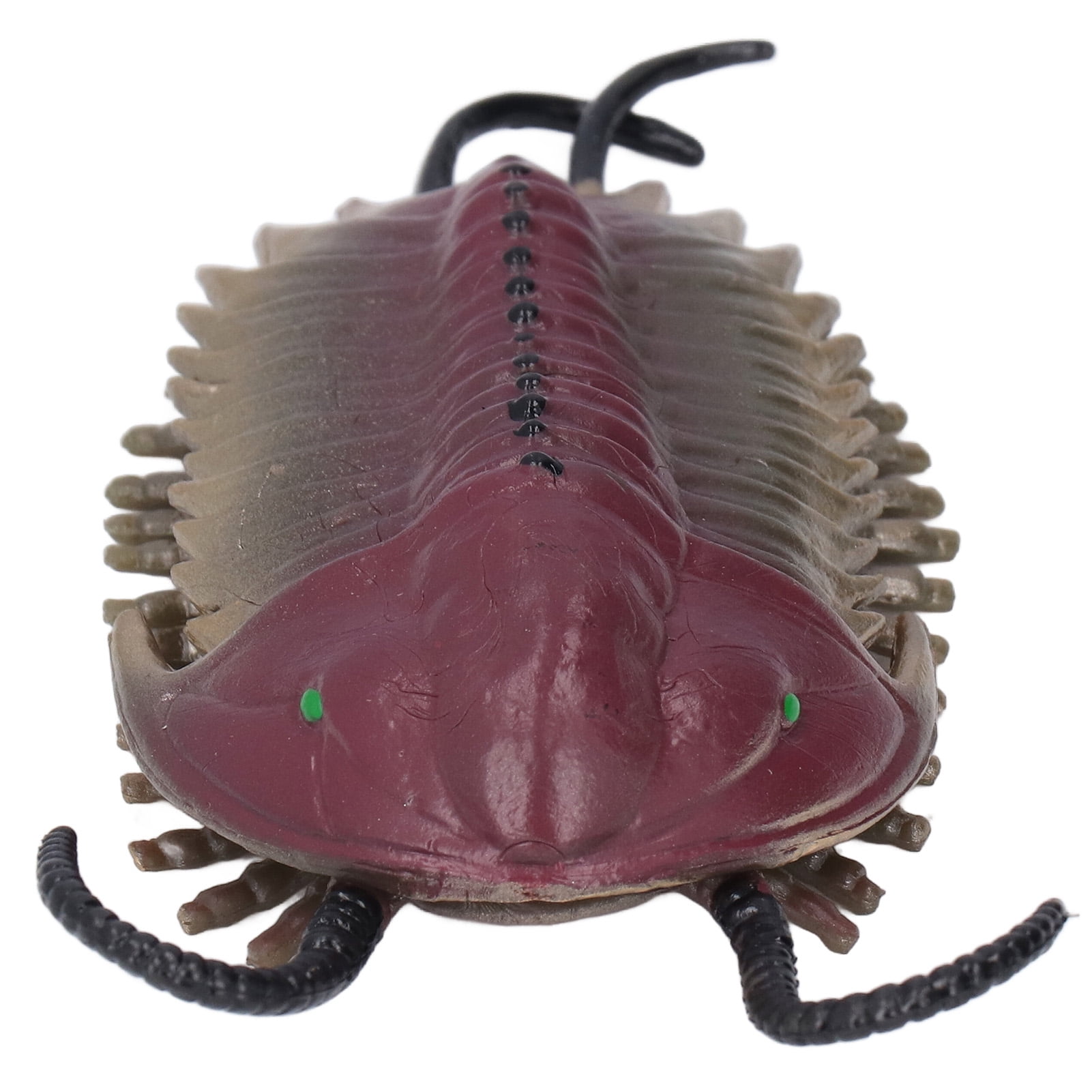 Octpeak Ancient Animal Figurine,Simulated Trilobite Model Figurine ...