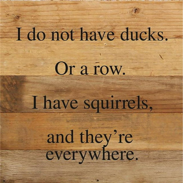 Odash 6 x 6 in. I Do Not Have Ducks or a Row - I Have Squirrels ...