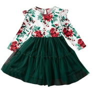 YEEDISON Toddler Girl Fall Clothes Floral Print Long Flying Sleeve Girls Dress Boho Kids Dresses ...