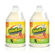 OdoBan Eucalyptus Odor Disinfectant, 1 Gal Concentrate & 32 oz. Ready ...