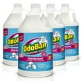 OdoBan Disinfectant Concentrate and Odor Eliminator, 4 Gallons, Cotton ...