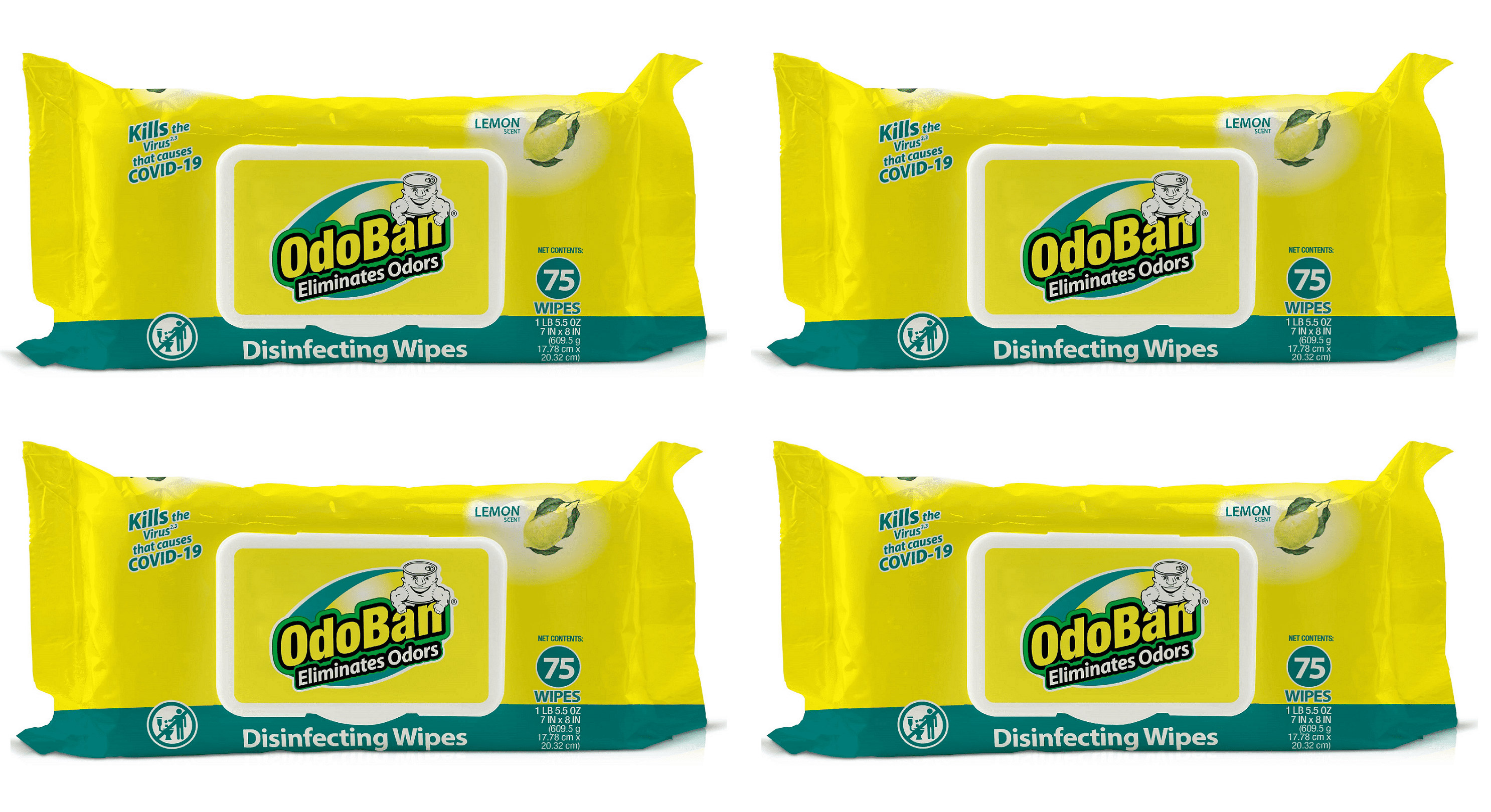 OdoBan Disinfectant & Odor Eliminator Wipes, Room Deodorizer, Sanitary ...