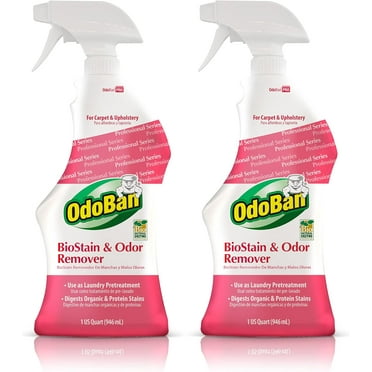 Woolite INSTAclean Permanent Stain and Odor Remover, 22 oz, Pack of 2 ...