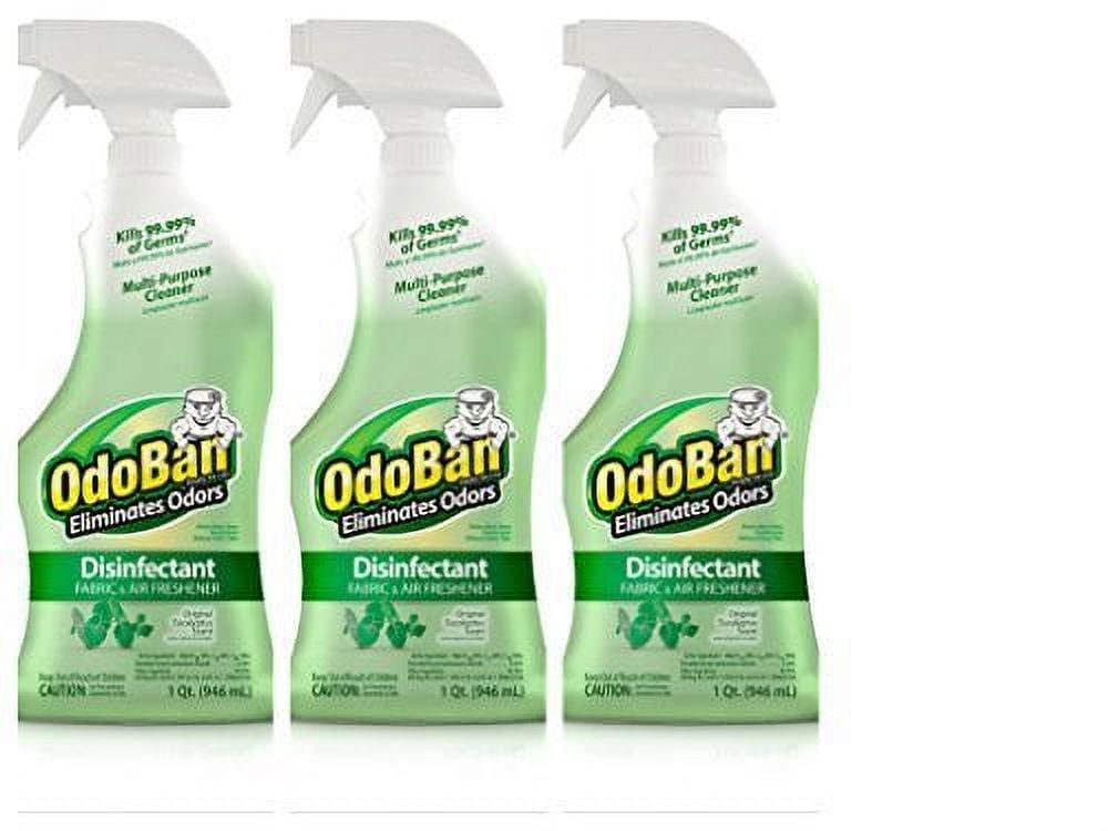OdoBan Ready-to-Use 32 oz Spray, Original Eucalyptus Scent - Odor ...