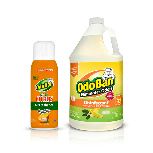OdoBan Real Citrus Orange Air Freshener 360 Continuous Spray and 1 ...