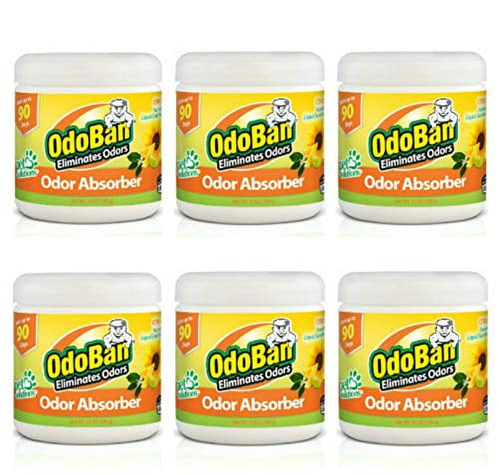 OdoBan Solid Odor Absorber Eliminator for Home and Small Spaces, Citrus ...