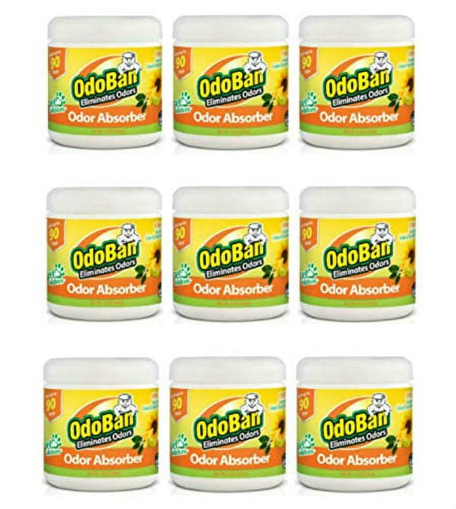 OdoBan Solid Odor Absorber Eliminator for Home and Small Spaces, Citrus ...