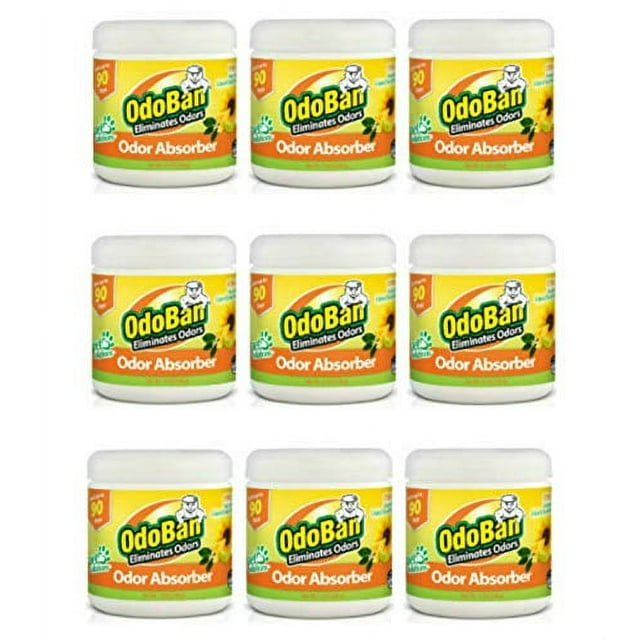 OdoBan Solid Odor Absorber Eliminator for Home and Small Spaces, Citrus ...