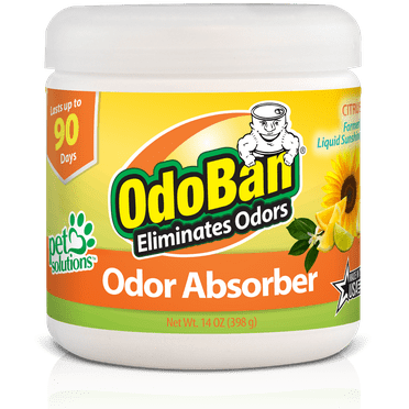 OdoBan Solid Odor Absorber for Home and Small Spaces, Citrus Scent, 14 ...