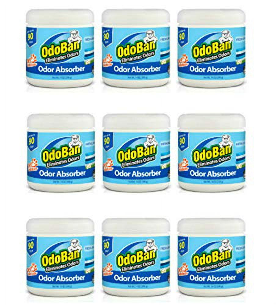 OdoBan Solid Odor Absorber Eliminator for Home and Small Spaces, Fresh ...