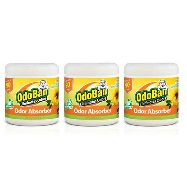 OdoBan Solid Odor Absorber for Home and Small Spaces, Citrus Scent, 14 ...
