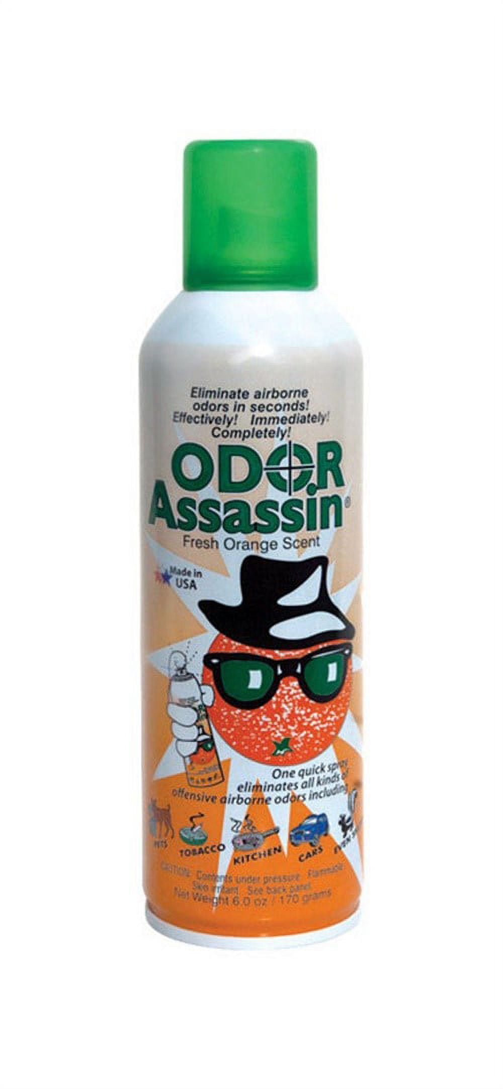 Odor Assassin Convenient Sprays Orange Scent Odor Control Spray 6 oz ...