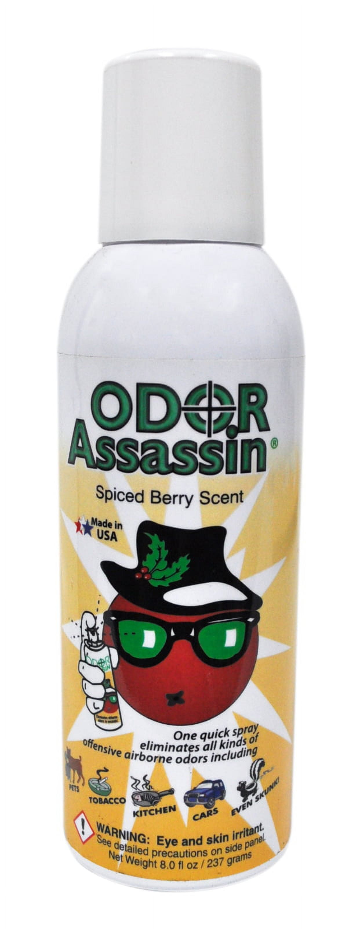 Odor Assassin Odor Eliminator Spice Berry Scent - Walmart.com