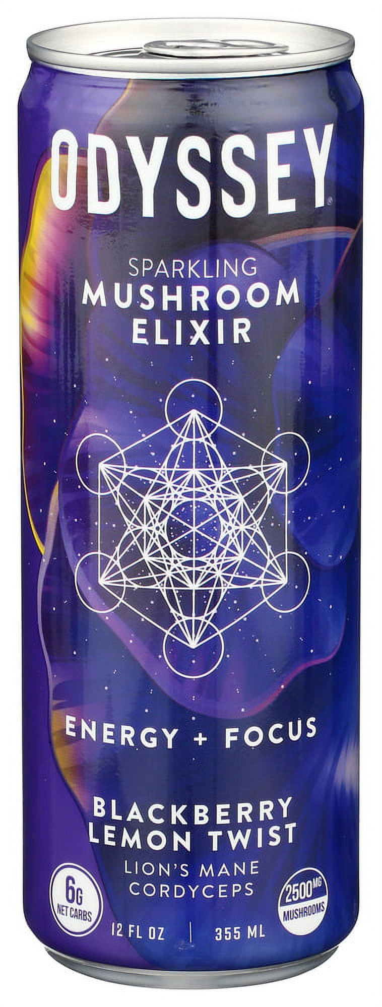 Odyssey Low Sugar Sparkling Energy Drink - Blackberry Lemon Flavor, 12 ...