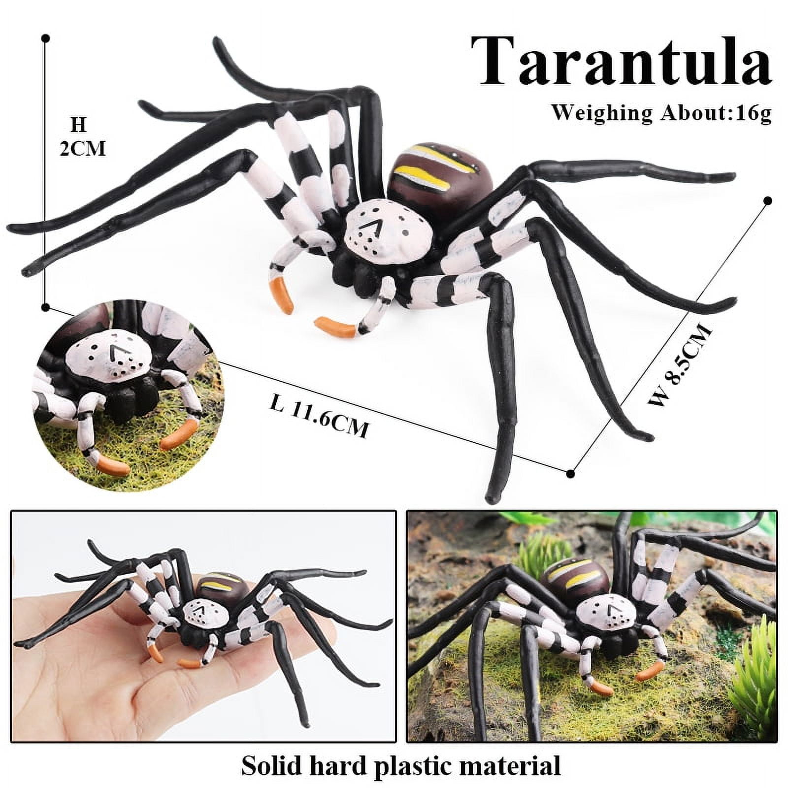 Oenux Insect Animals Model Spider Web Scorpion Bat Action Figures ...
