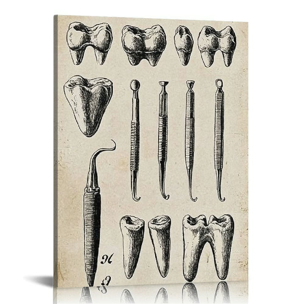Of Anatomy Poster Decor Canvas Painting Prints For Kitchen Home Wall ...