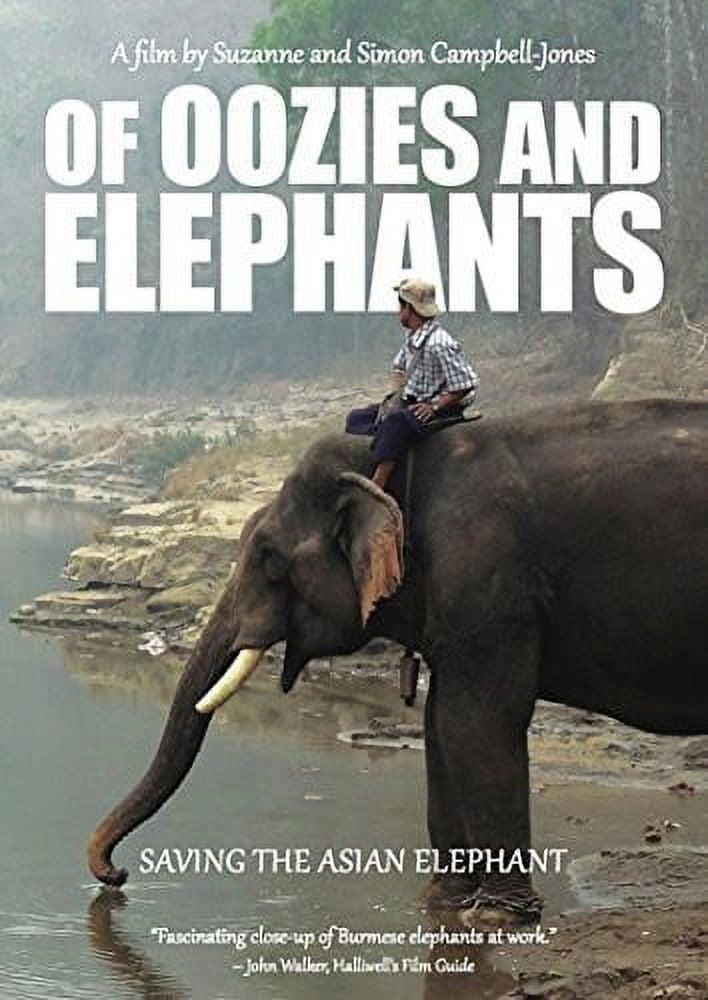 Of Oozies & Elephants (DVD), Dreamscape, Documentary - Walmart.com