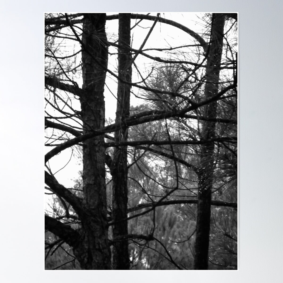 Of Sorrow And Magick Poster Wall Art, Modern Wall Decor For Living Room ...