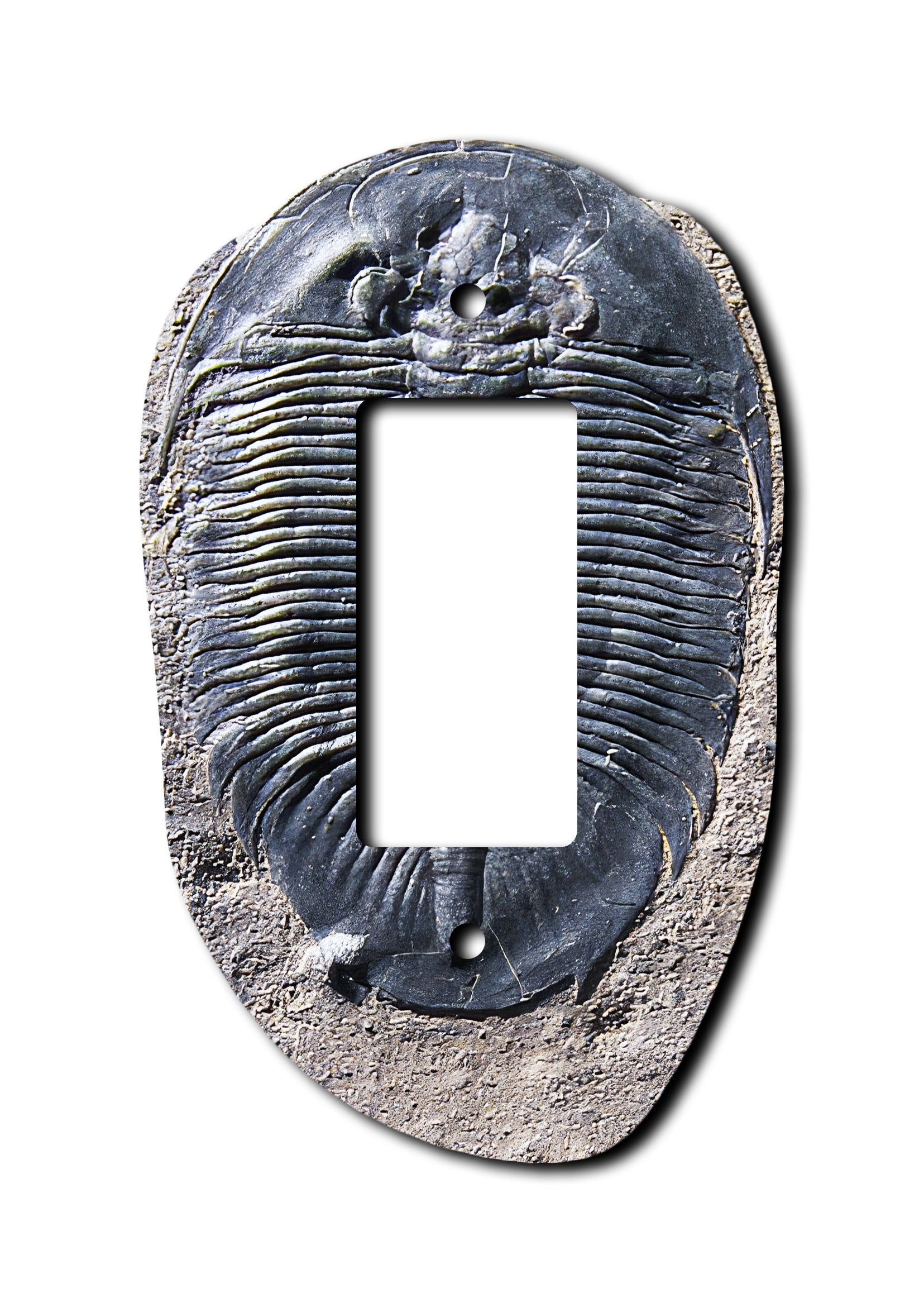 Off The Wall Plates - Trilobite Classic Decorative Acrylic Cover Single ...