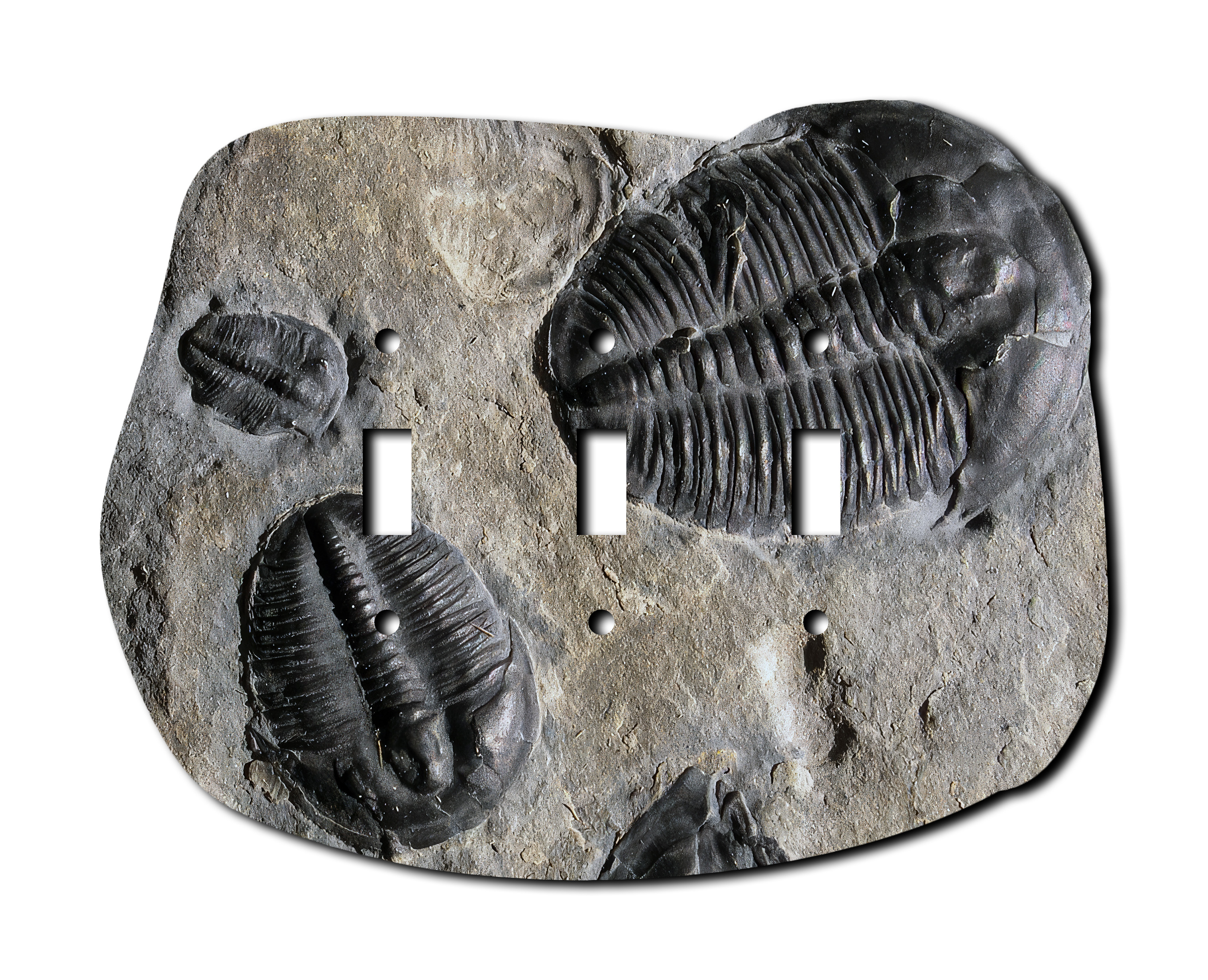 Off The Wall Plates - Trilobite Classic Decorative Acrylic Cover Triple ...