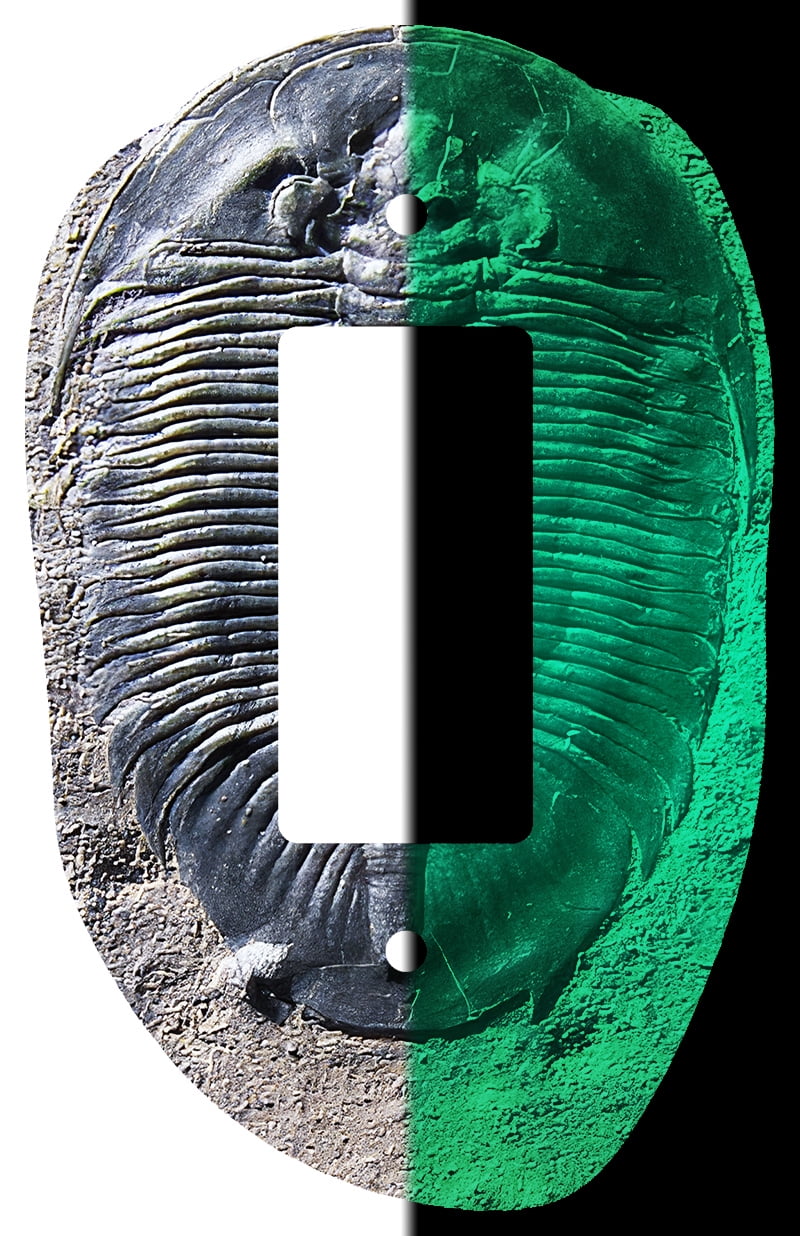 Off The Wall Plates - Trilobite Glow in the Dark Decorative Acrylic ...