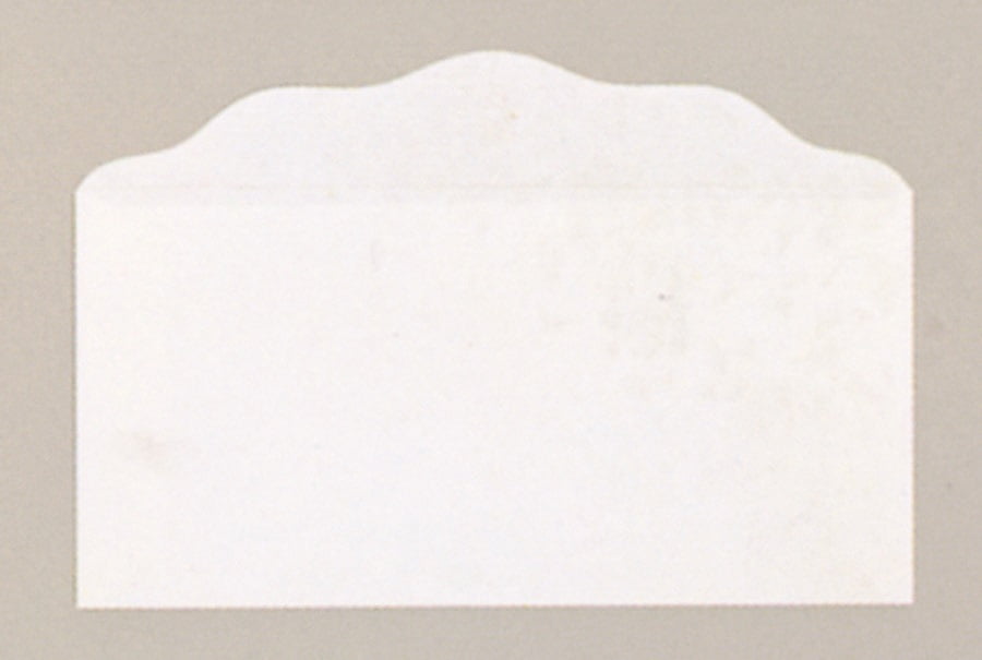 Offering Envelope: Bill-Sized, White Blank (Package of 100) (Other ...
