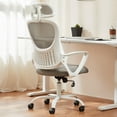 Office Computer Desk Chair, Ergonomic High-Back Mesh Rolling Work ...