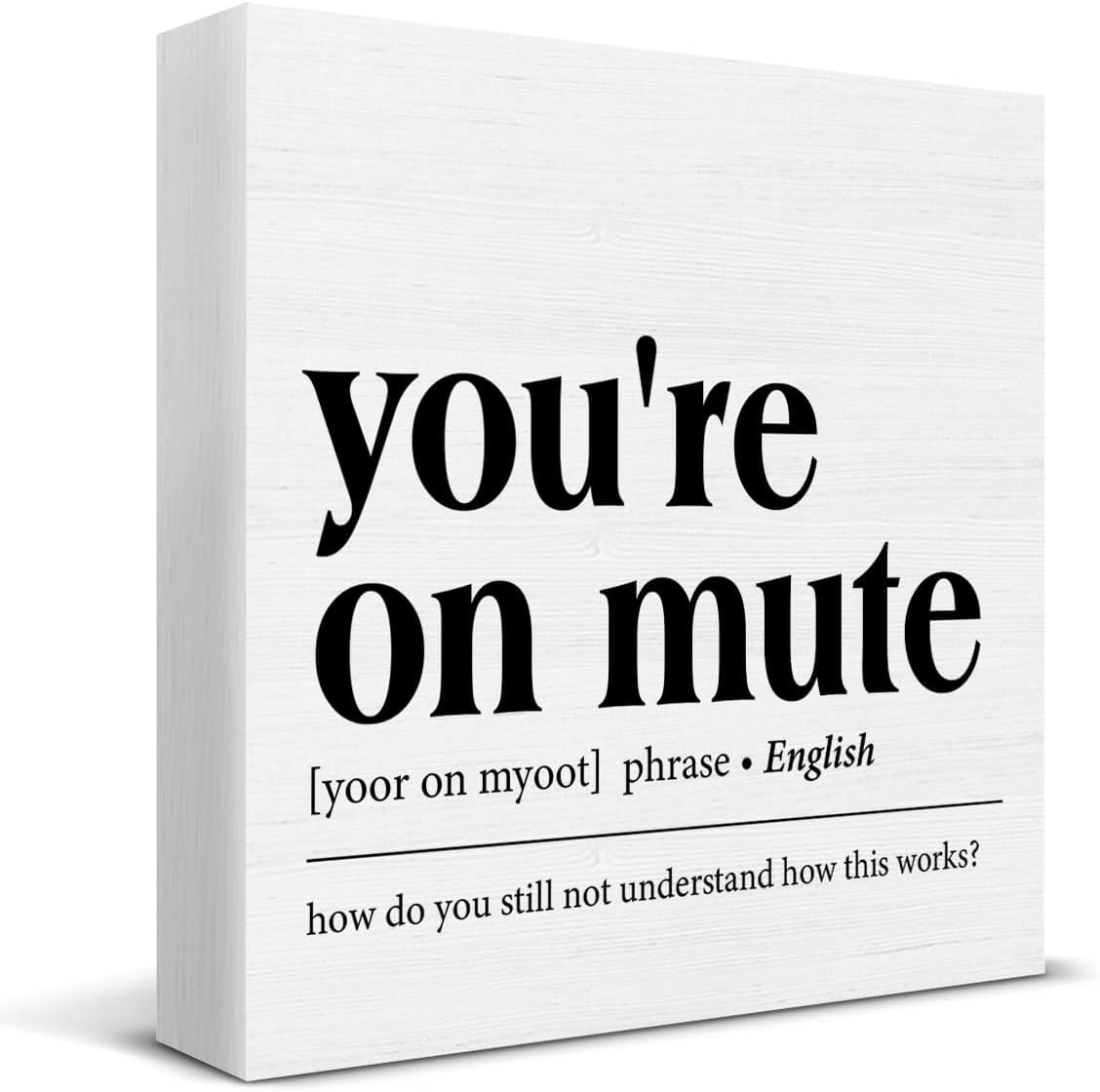 Office Desk Signs, Funny Office Signs Rustic You're on Mute Definition ...