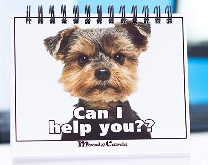 Office Gift for Dog Lovers - Moodycards! Make Everyone Laugh with These ...