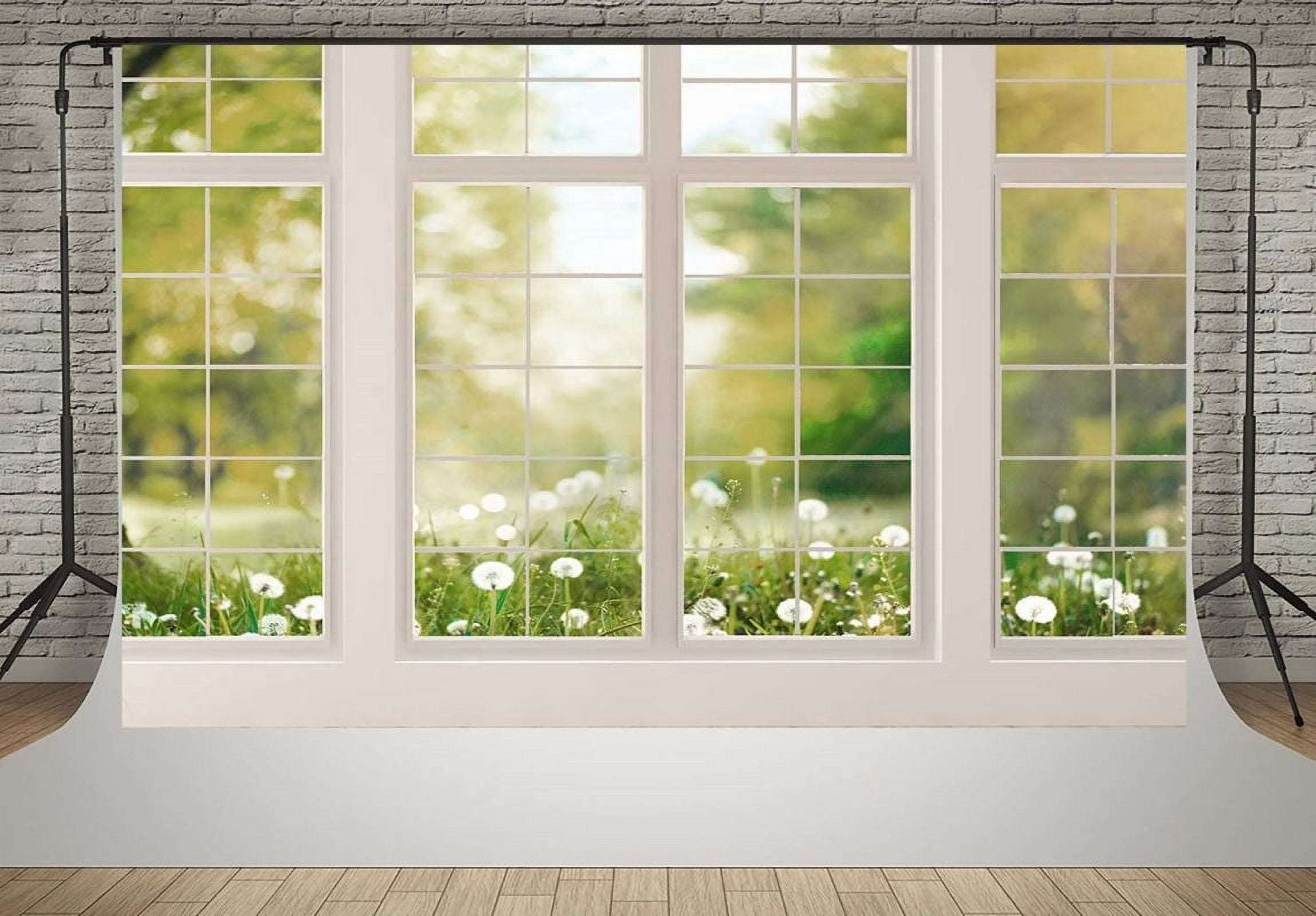 Office Window Video Conference Studio Party Birthday ration Background ...
