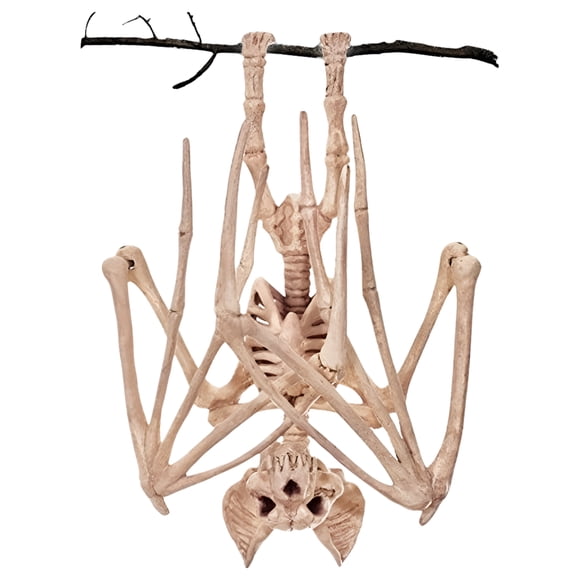 Halloween Skeletons in Outdoor Halloween Decor - Walmart.com
