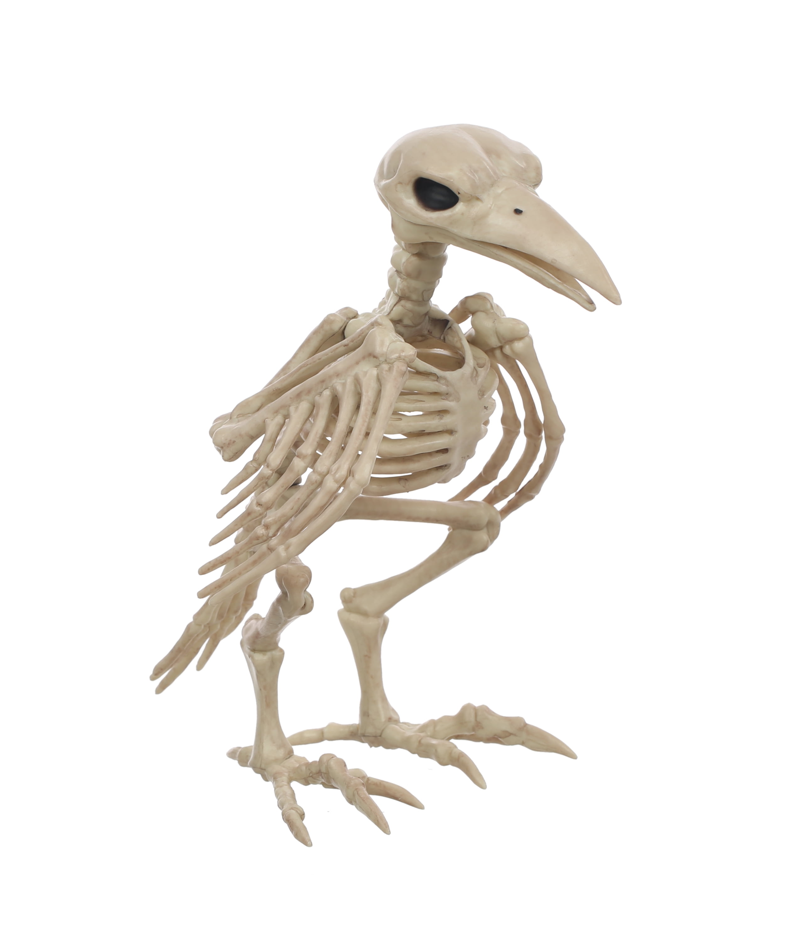 Official Crazybonez Faux Crow Skeleton - Walmart.com