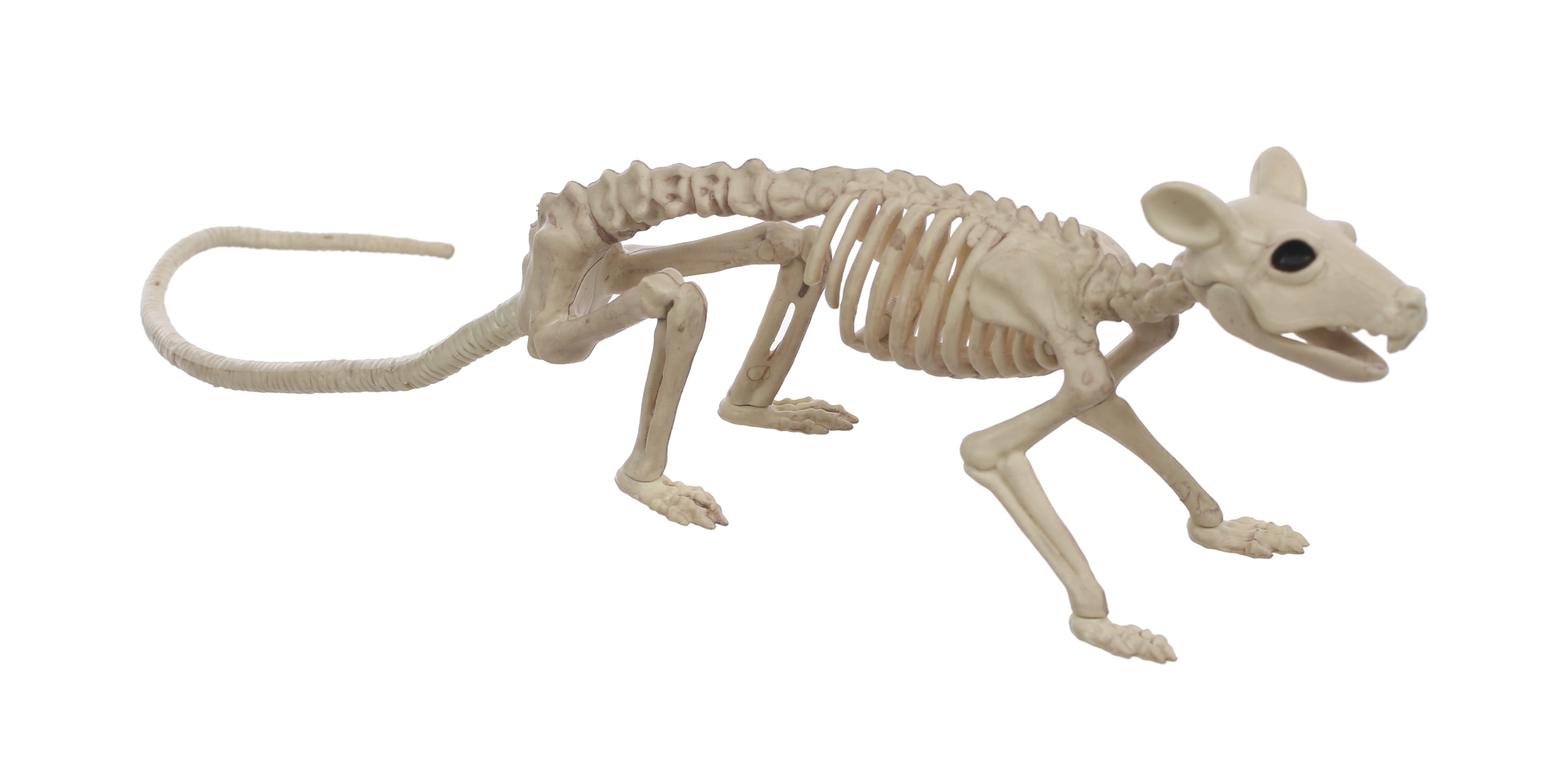 Official Crazybonez Faux Rat Skeleton - Walmart.com