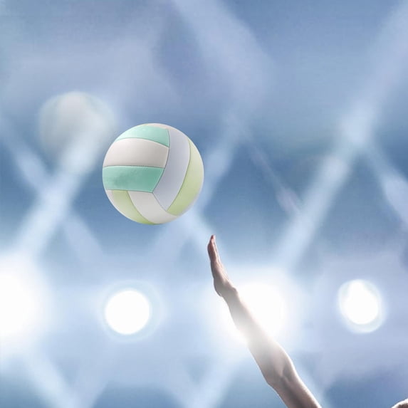 Official Size 5 Volleyball Indoor Outdoor Volleyball Training Aid Match ...