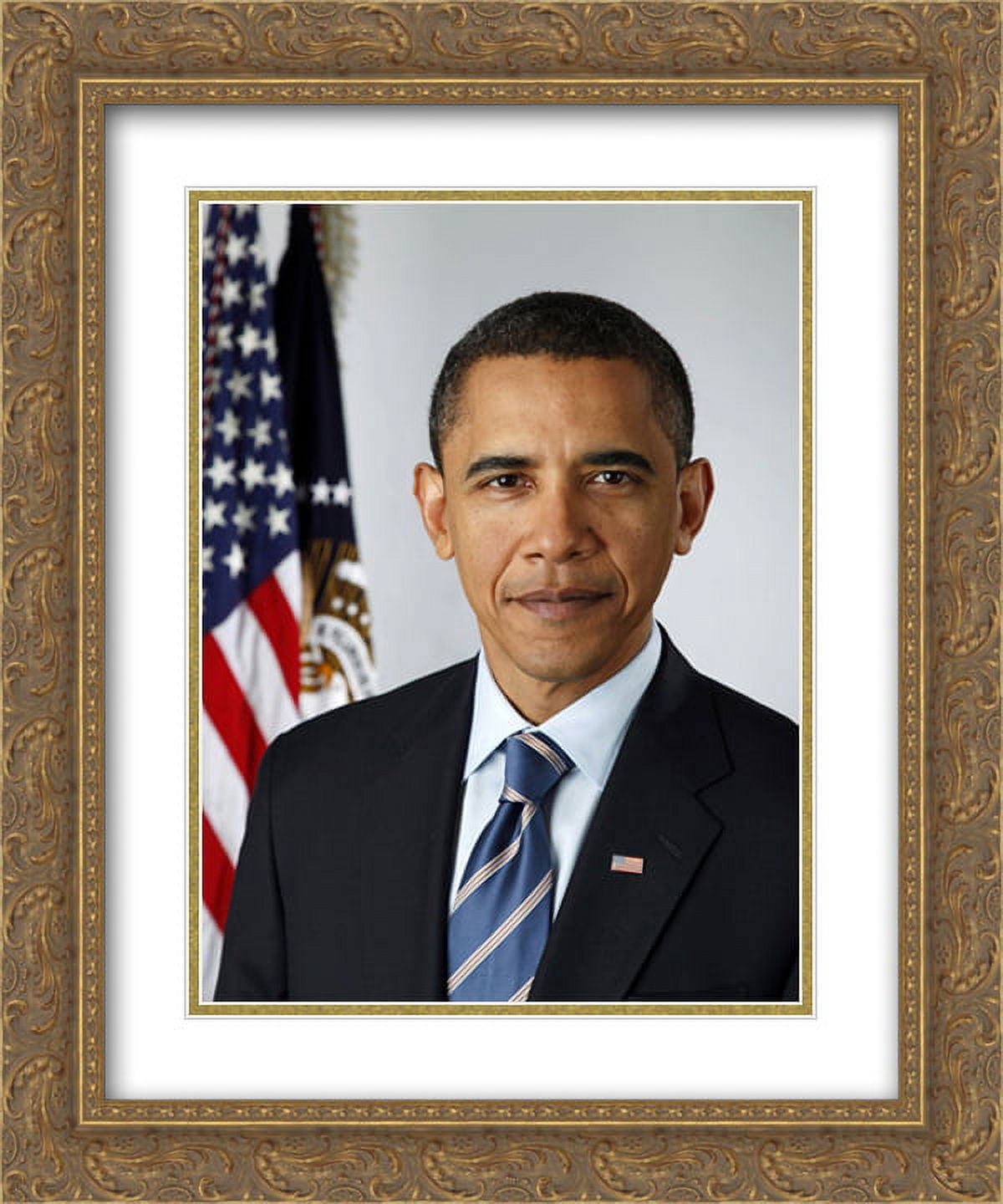 Official portrait of President-elect Barack Obama 18x24 Double Matted ...