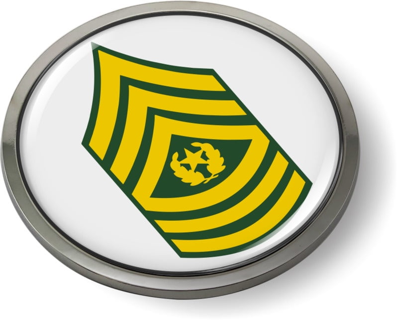 [Officially Licensed Product] - US Army Rank Insignia Enlisted Soldiers ...