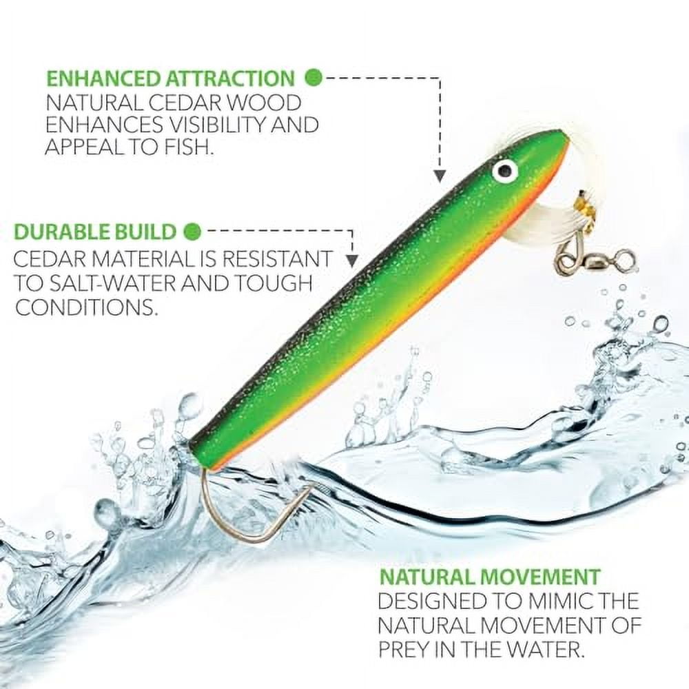 Offshore Fishing Gear: 6" Cedar Plug Tuna Fishing Lures, Zucchini Color ...