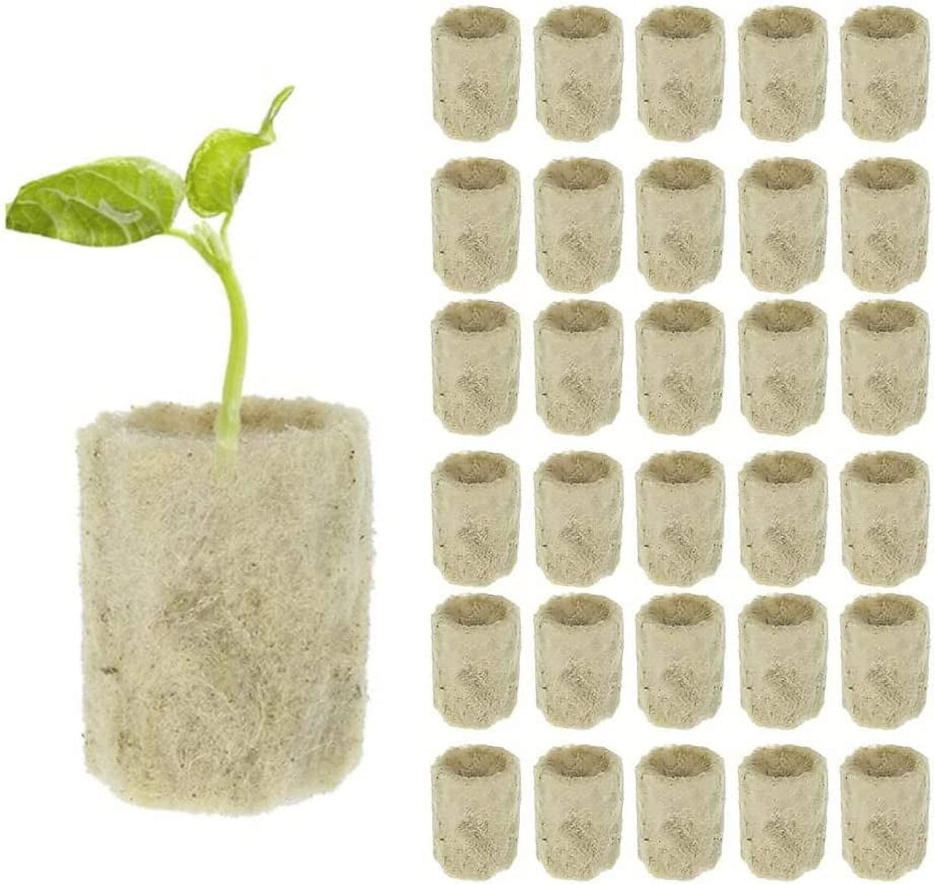 Ofocase 50pcs Garden Rockwool Stonewool, Grow Cubes, Starter Plugs for ...