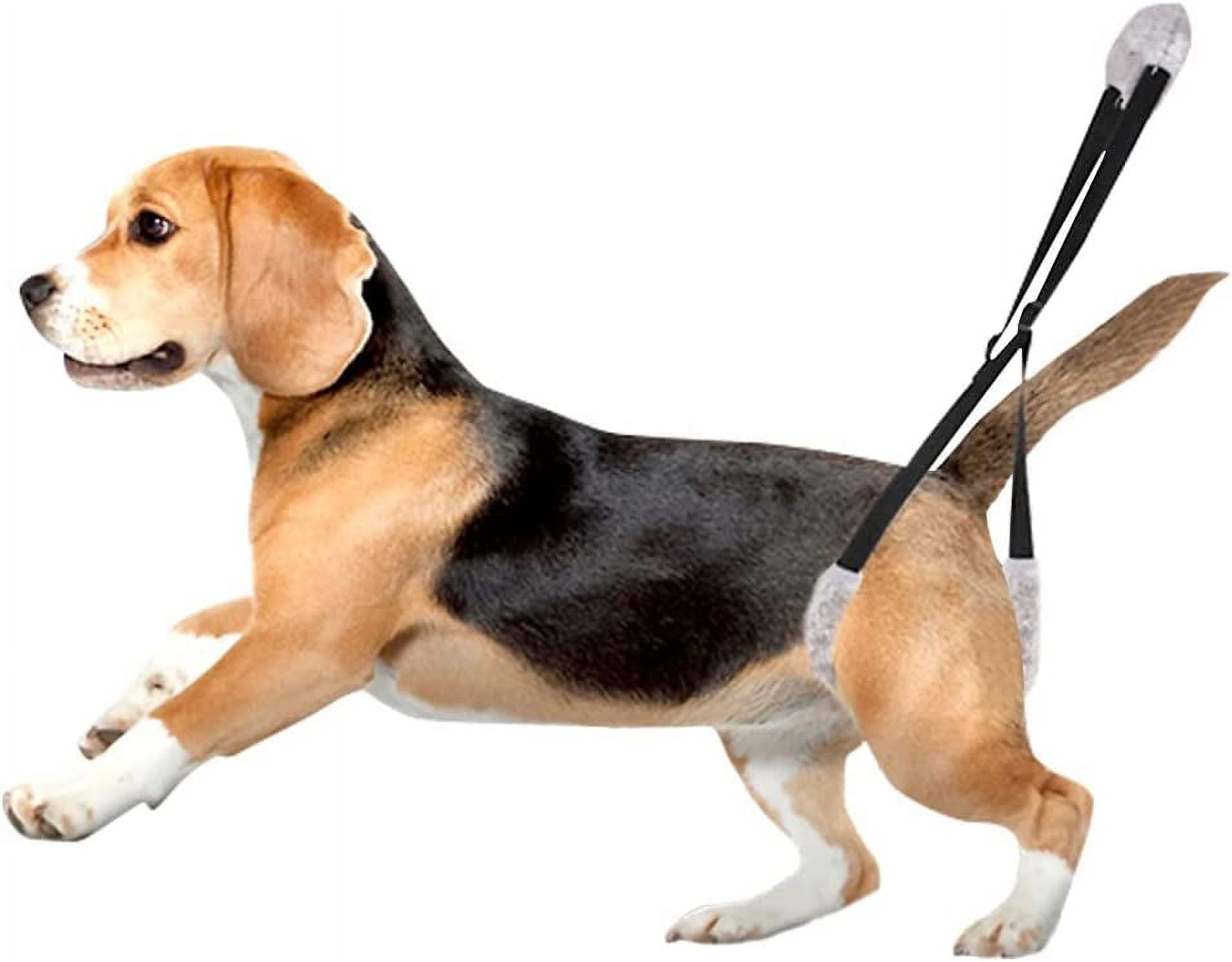 Ofocase Dog Lift Harness for Back Legs Dog Rear Lift Harness Help Em Up ...