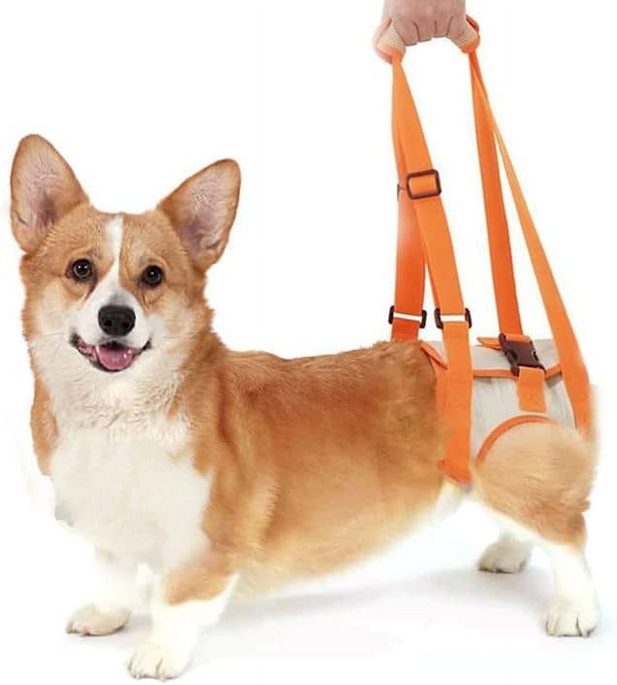 Ofocase Dog Lift Harness for Back Legs, Dog Sling Lifter for Rear Legs ...