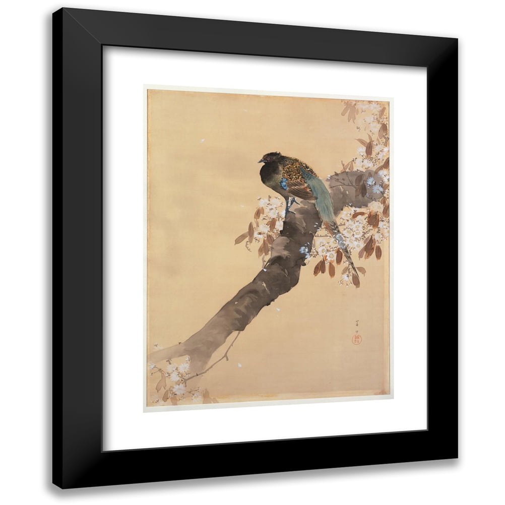 Ohara Koson 14x18 Black Modern Framed Museum Art Print Titled - Pheasant on Cherry Blossom ...