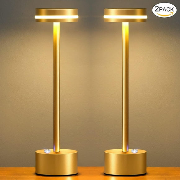 Portable Luminaire Lamp