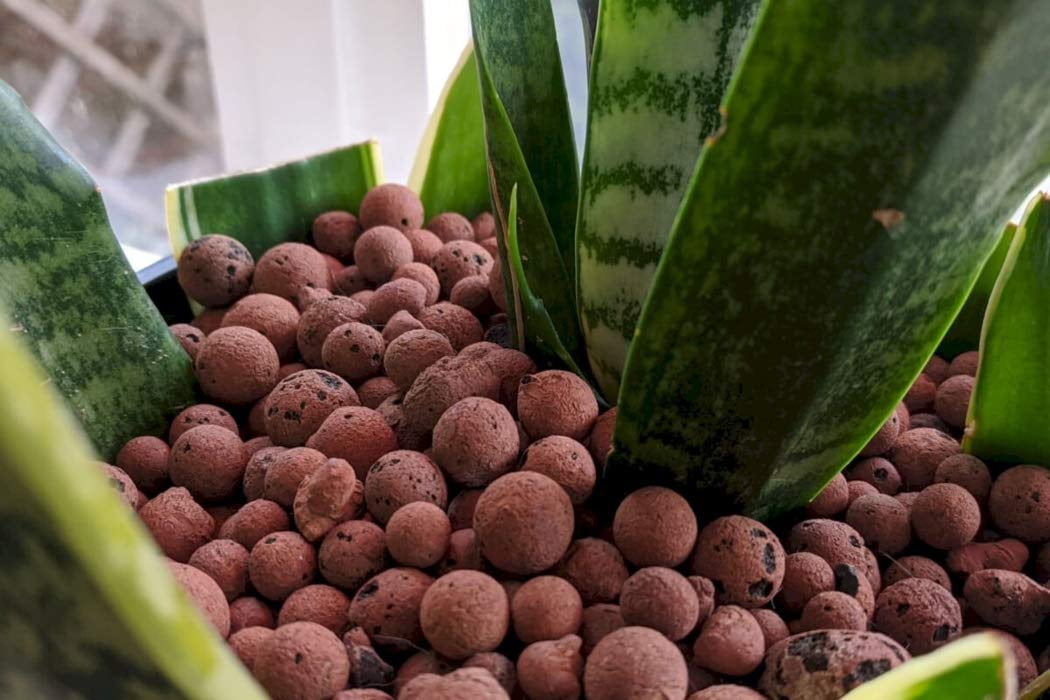 OhhSome Hydroponics Clay Balls Leca Hydrotons Clay PebblesAsh for ...
