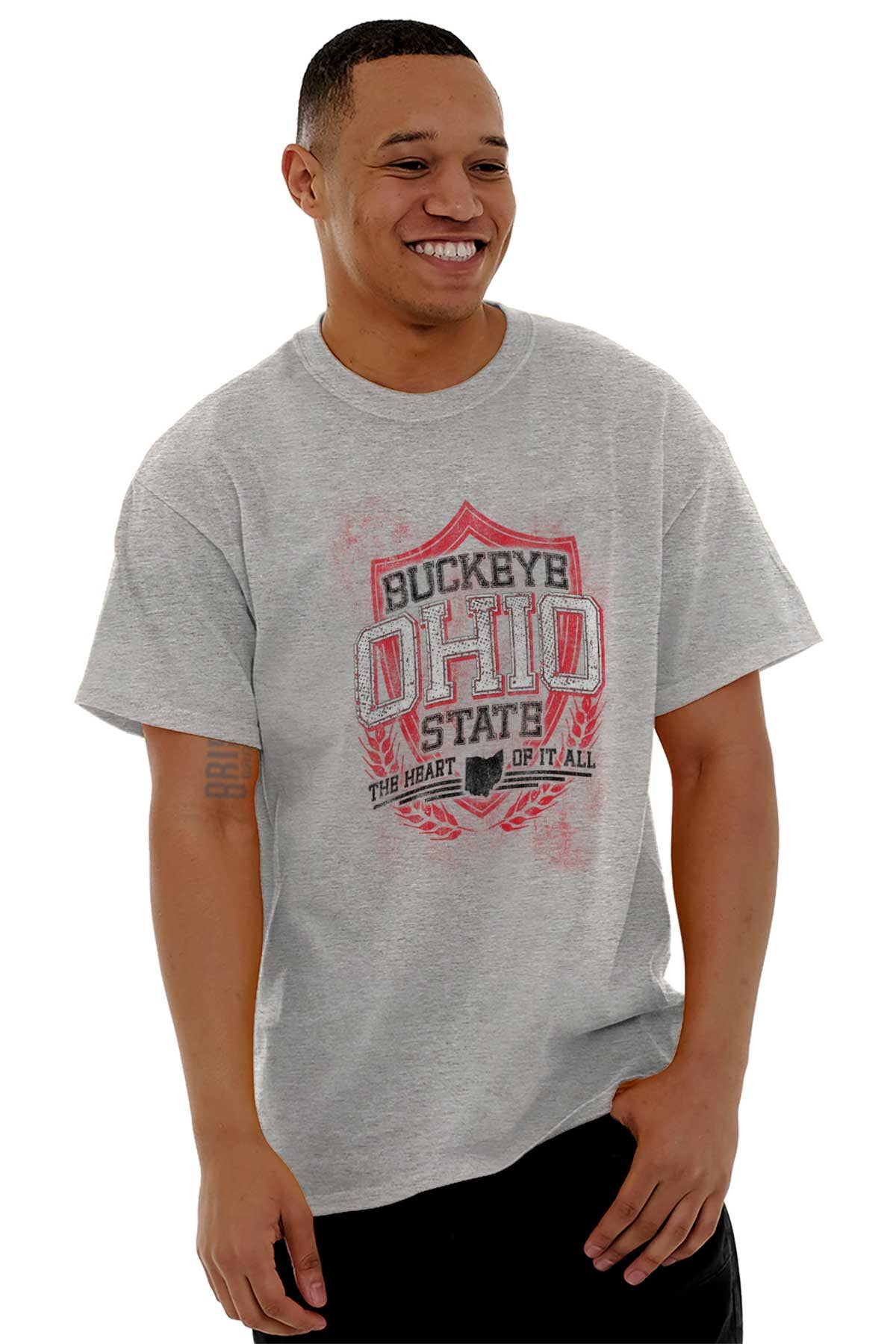 Ohio Retro Buckeye State Pride Emblem Men's Graphic T Shirt Tees Brisco ...
