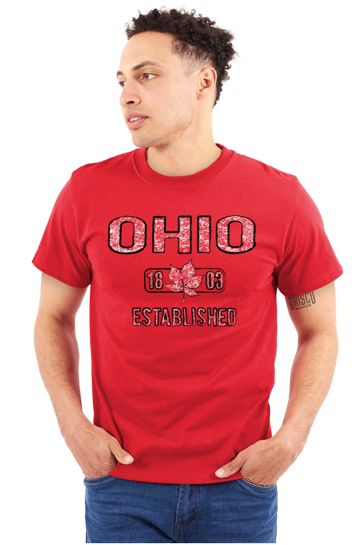 Ohio Vintage Buckeye Leaf Stencil OH Plus Size Crewneck Graphic Tee ...
