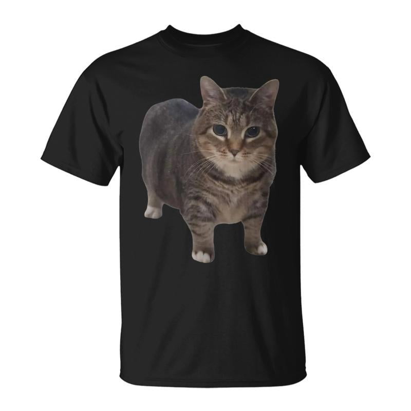 Oiia Oiia Cat Spinning Cat Meme TShirt - Walmart.com