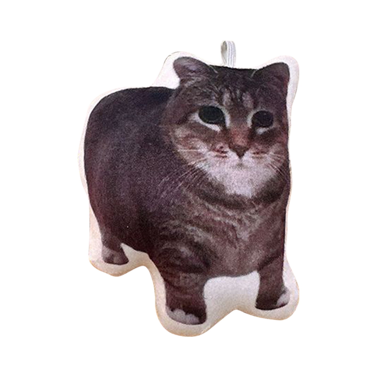 Oiia Oiia Spinning Cat Meme Plush Keychain, Oiia Cute Pet Plush ...