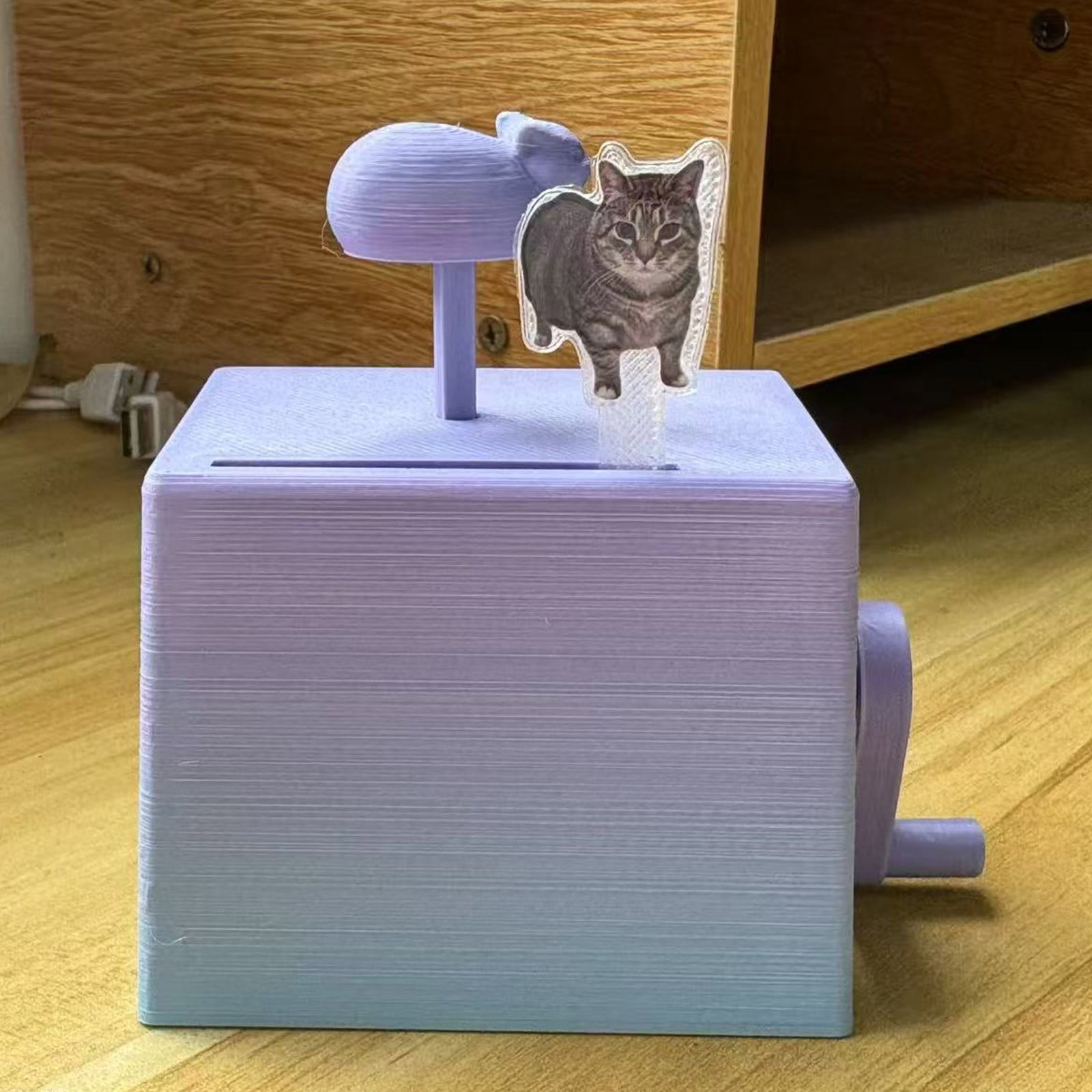 Oiiao Cat Music Box, Oia Cat Box, Funny Rotation Cat Music Box, Oiia ...