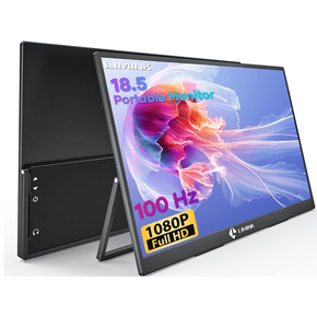 Large Computer Monitors