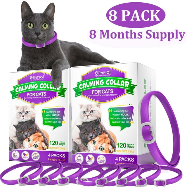 Oimmal Cat Calming Collar with Pheromones, Relief for Kittens, Comfort ...